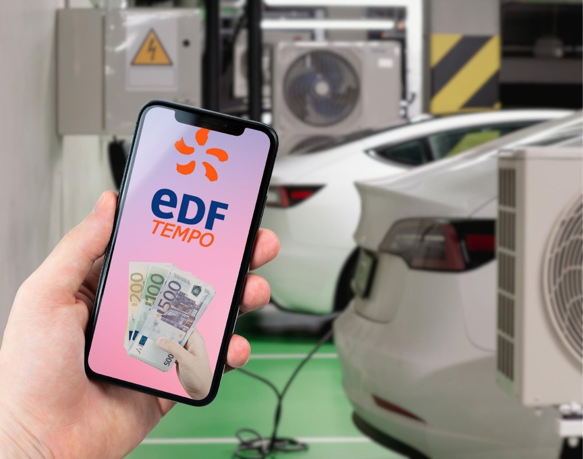 Incompréhensible : les prix de l'électricité avec l'option Tempo d'EDF ...