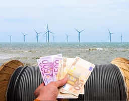 EDF vise le 100% renouvelable en Guyane grâce à cette centrale biomasse