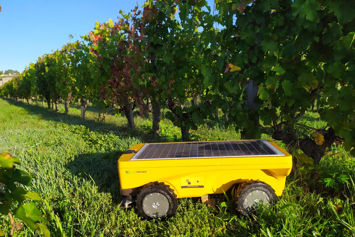 Que devient le robot tondeur électrique solaire autonome Vitirover