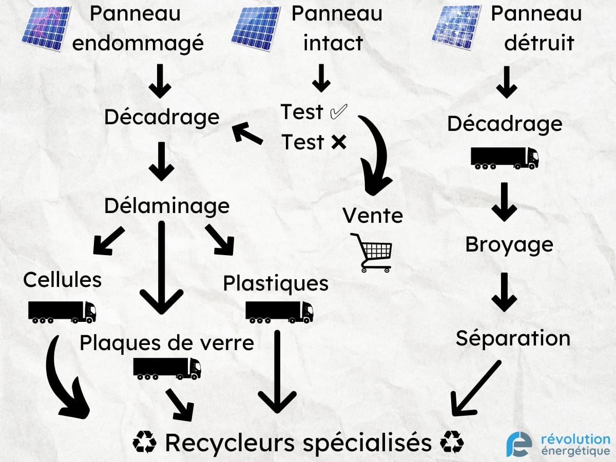 Dans les coulisses d’une usine de recyclage de panneaux solaires - Révolution Énergétique