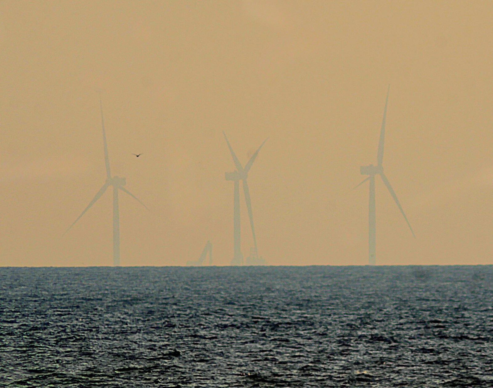 Voici le premier parc éolien flottant de France - Révolution Énergétique